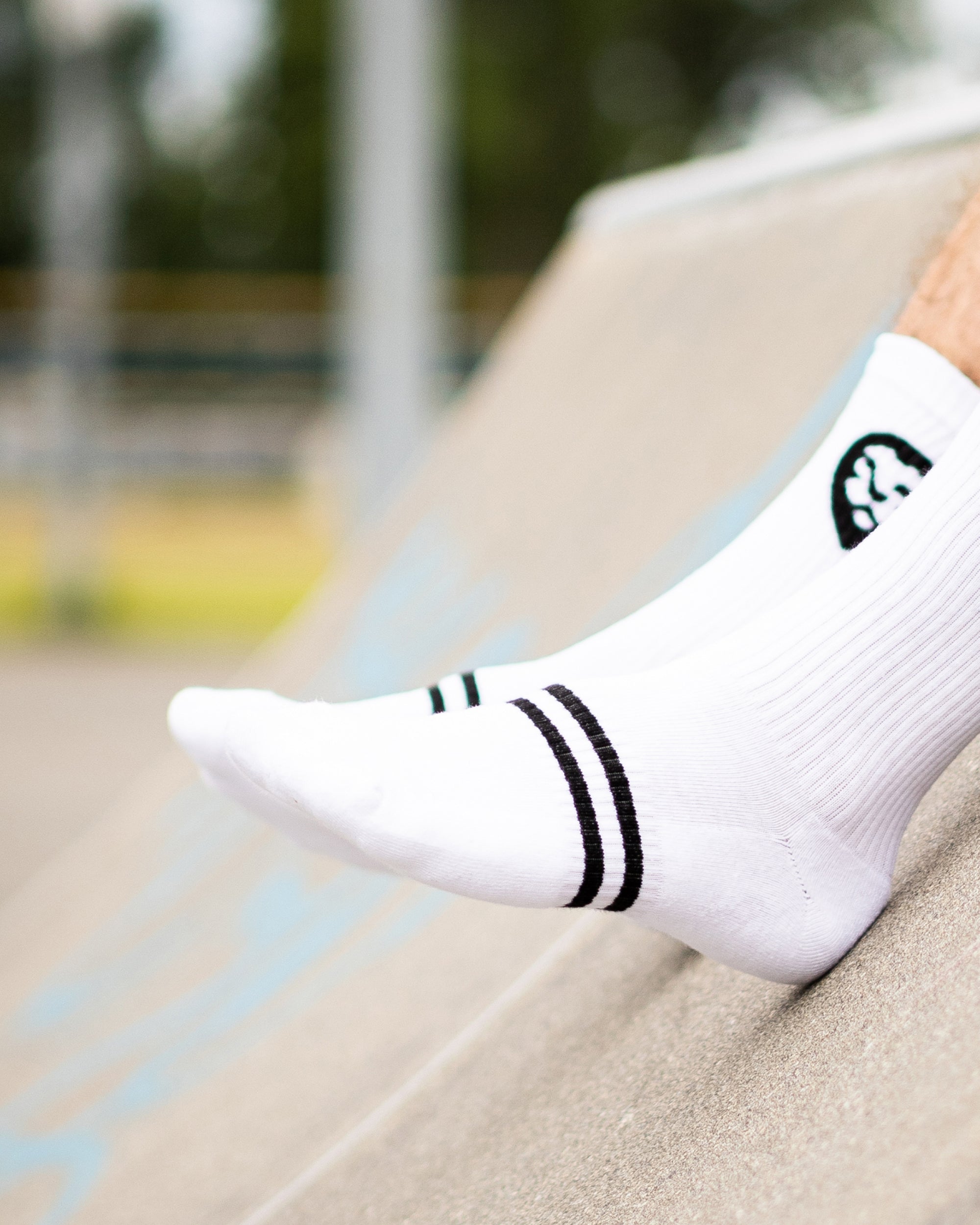 FEMME BAS – LP Apparel